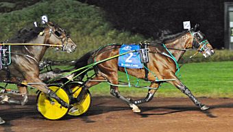 Shartin N is impressive in Crown Mares Pace – U.S. Trotting News
