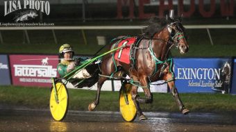 Shartin N makes case for Horse of the Year – U.S. Trotting News