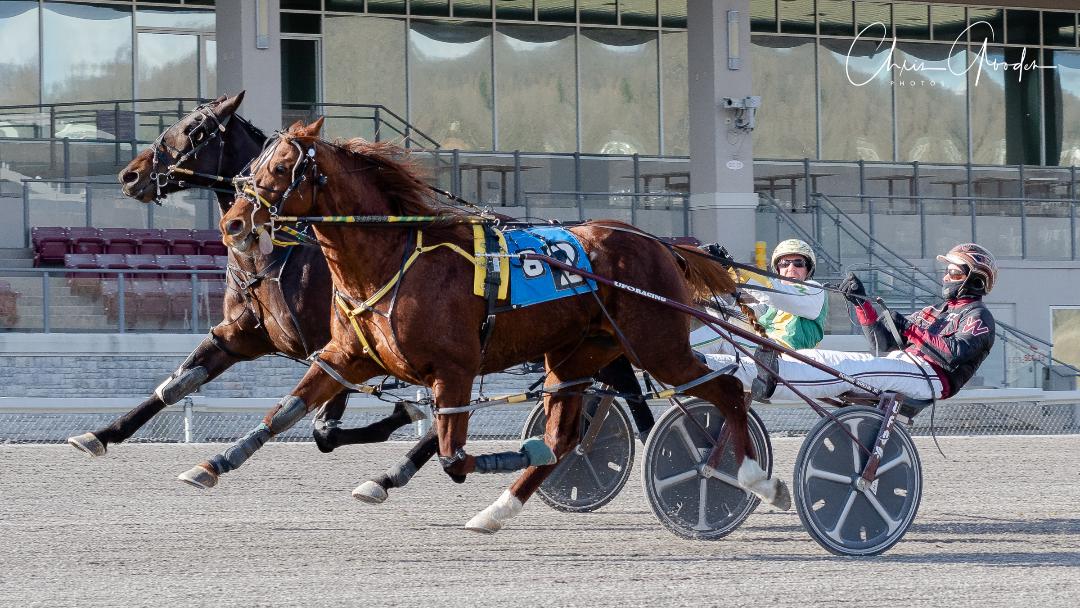 Dapper Dude moves first over to victory in Meadows $18,000 pace – U.S ...