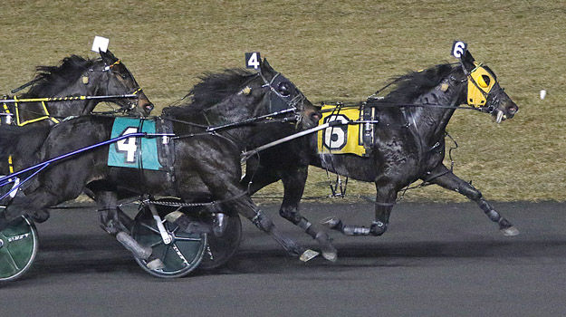 Gingras wins four at Big M – U.S. Trotting News