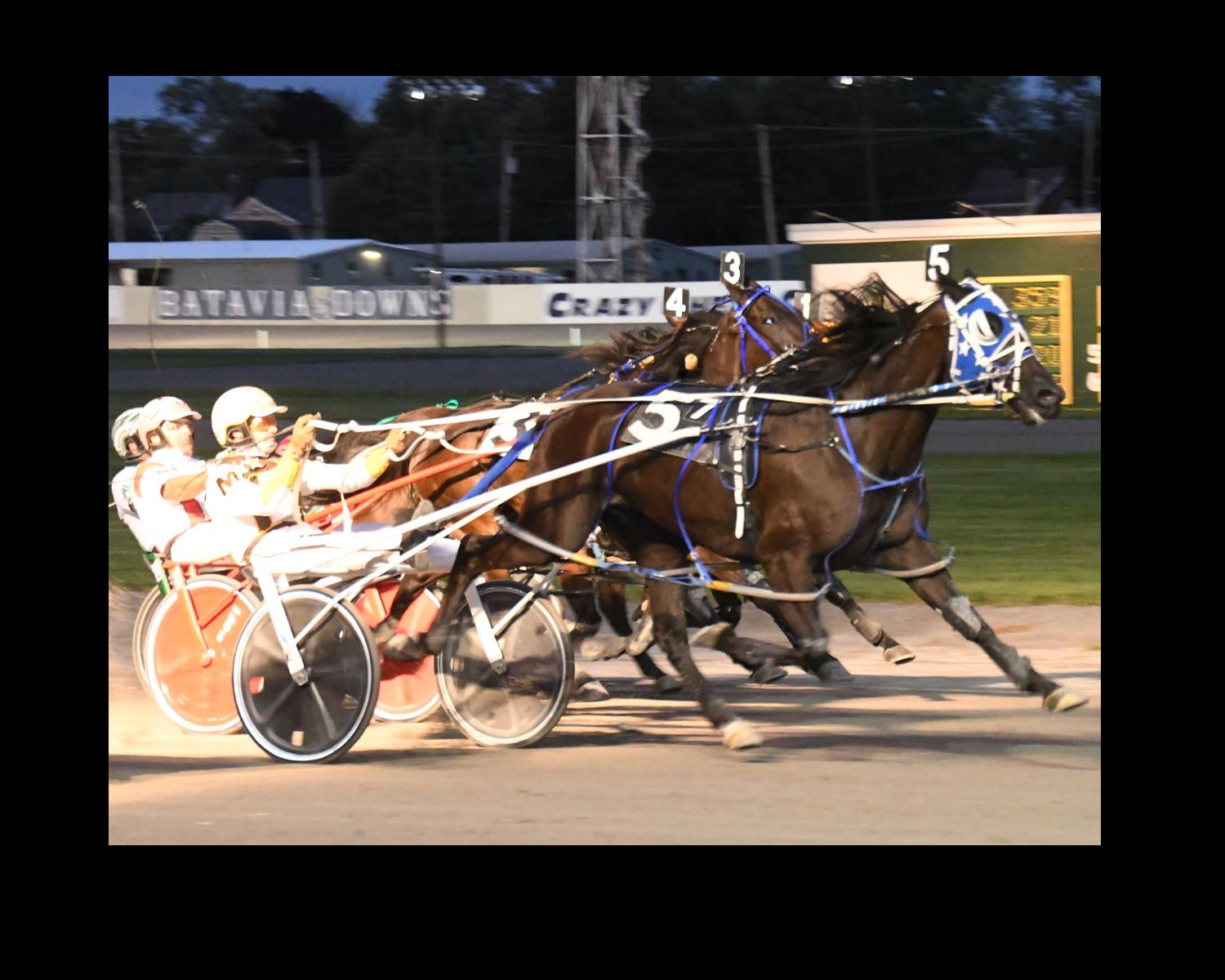 Black Is Back goes back to back at Batavia Downs – U.S. Trotting News