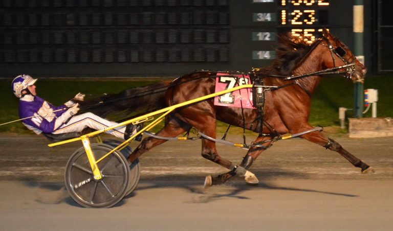Burke sweeps Matron rookie paces – U.S. Trotting News