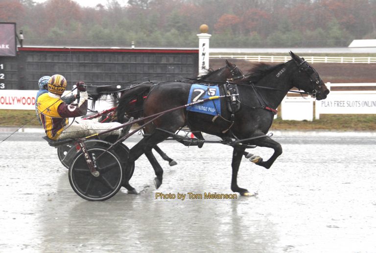 The Fun Marshall wins fifth straight at Plainridge – U.S. Trotting News