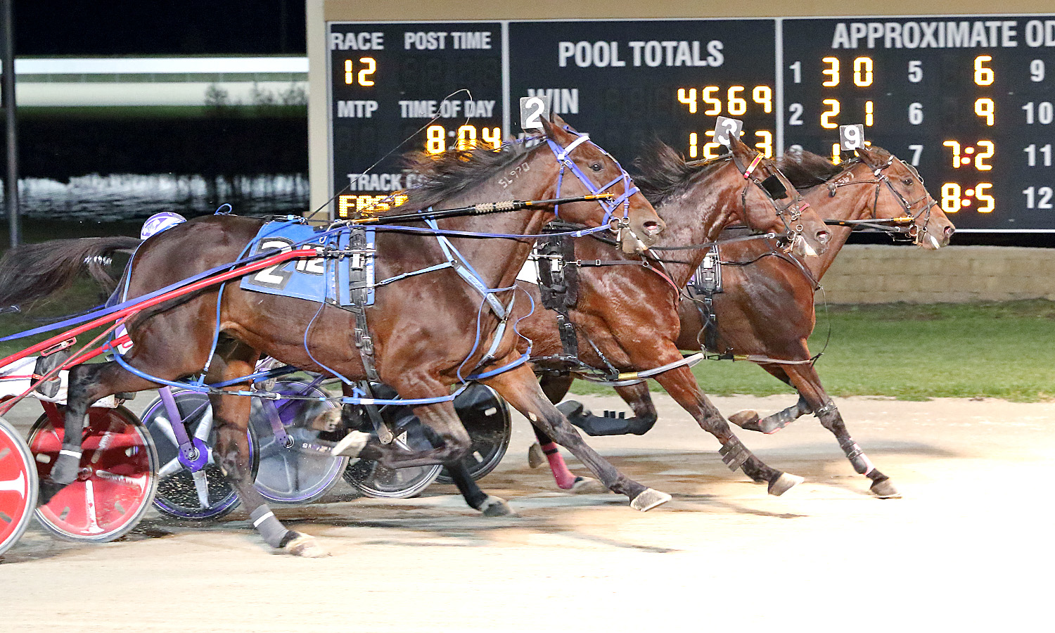 Gold Digger does it again at Hollywood Dayton – U.S. Trotting News