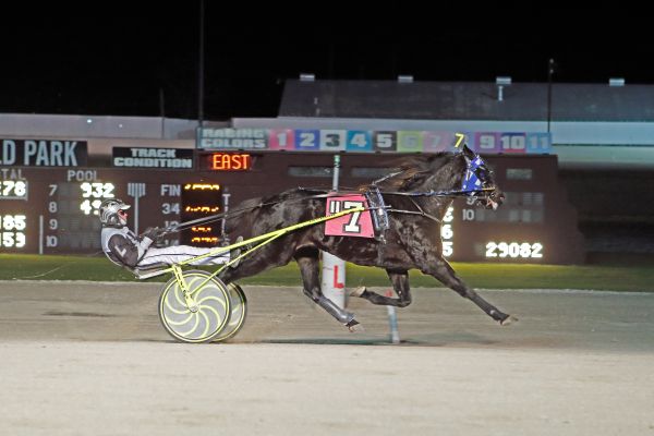 Winning Shadow wins 20th, leads all horses in North America – U.S ...