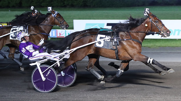 Lyons Sentinel, Bella Bellini score big at Big M – U.S. Trotting News