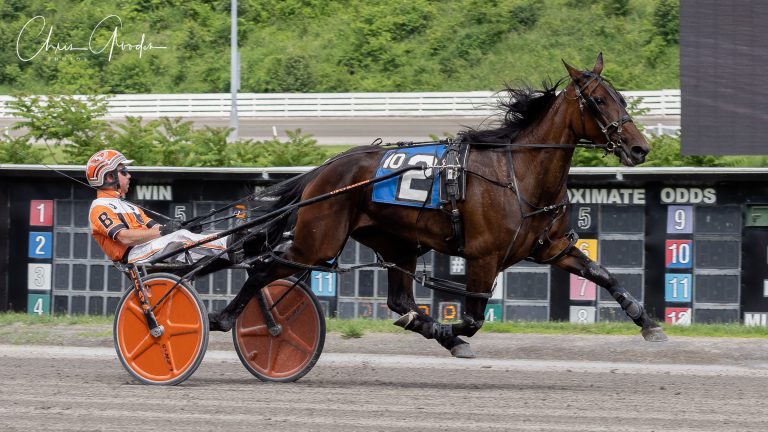 Tonianne draws off in Meadows feature; Palone wins five – U.S. Trotting ...