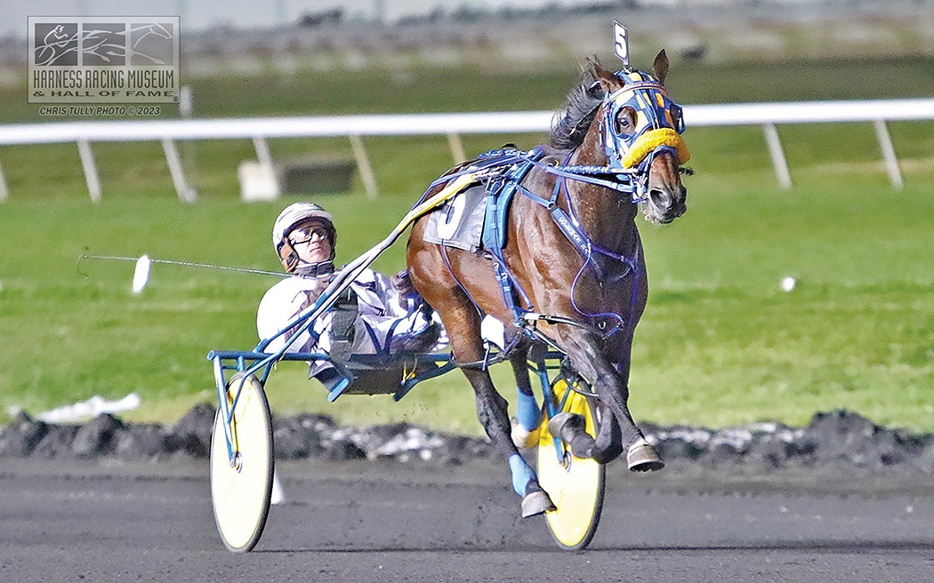 Living Horse Hall of Fame inductees announced – U.S. Trotting News