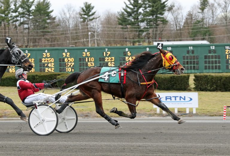 Faraldo, Beltrami win AHDC trots at Freehold – U.S. Trotting News