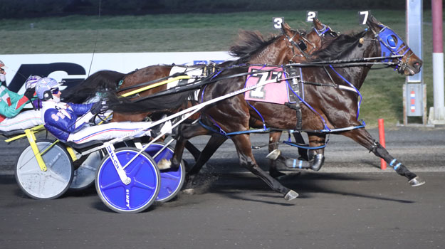 Scott great, wins four at Big M – U.S. Trotting News