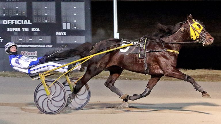 Millionaire Dayson returns with Miami Valley victory – U.S. Trotting News