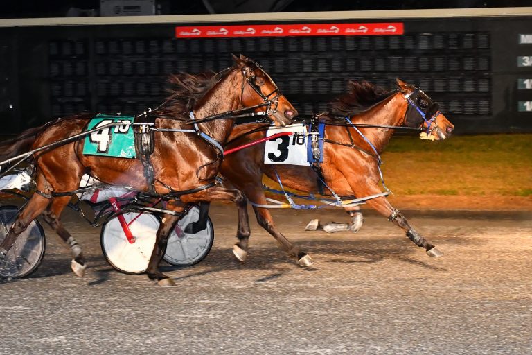 Divine Deo captures the Mares Open Pace At Bally’s Dover – U.S ...