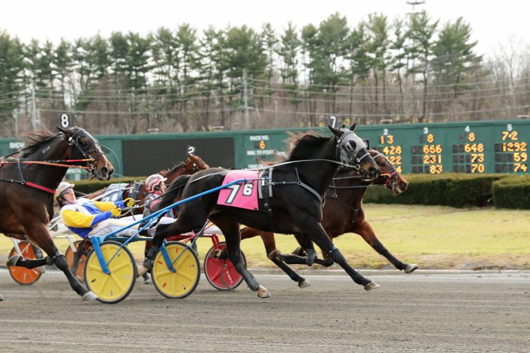 Winneress lives up to his name in AHDC Trot – U.S. Trotting News