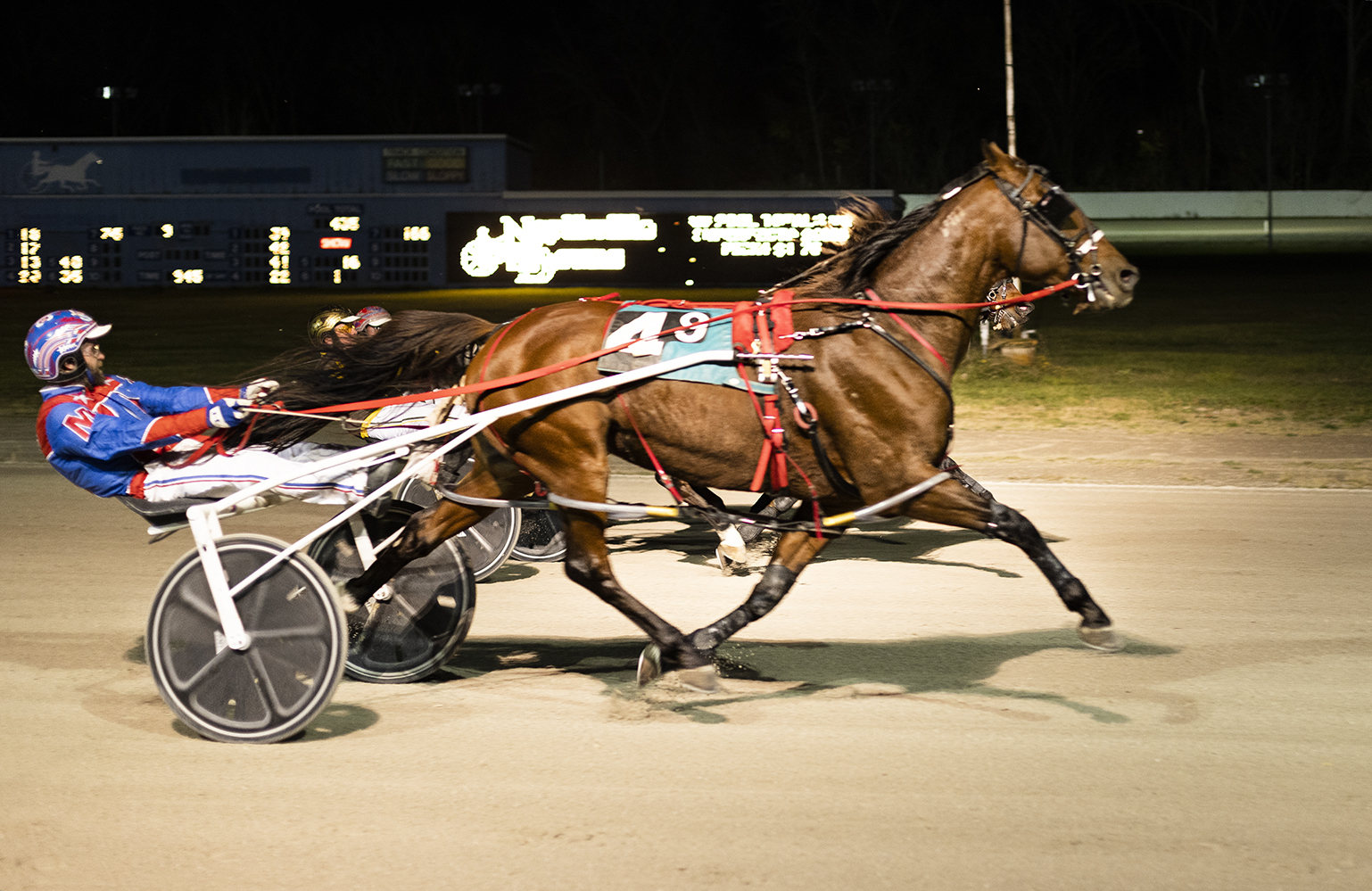 MHHA Aged Pacer and Trotter Awards released – U.S. Trotting News