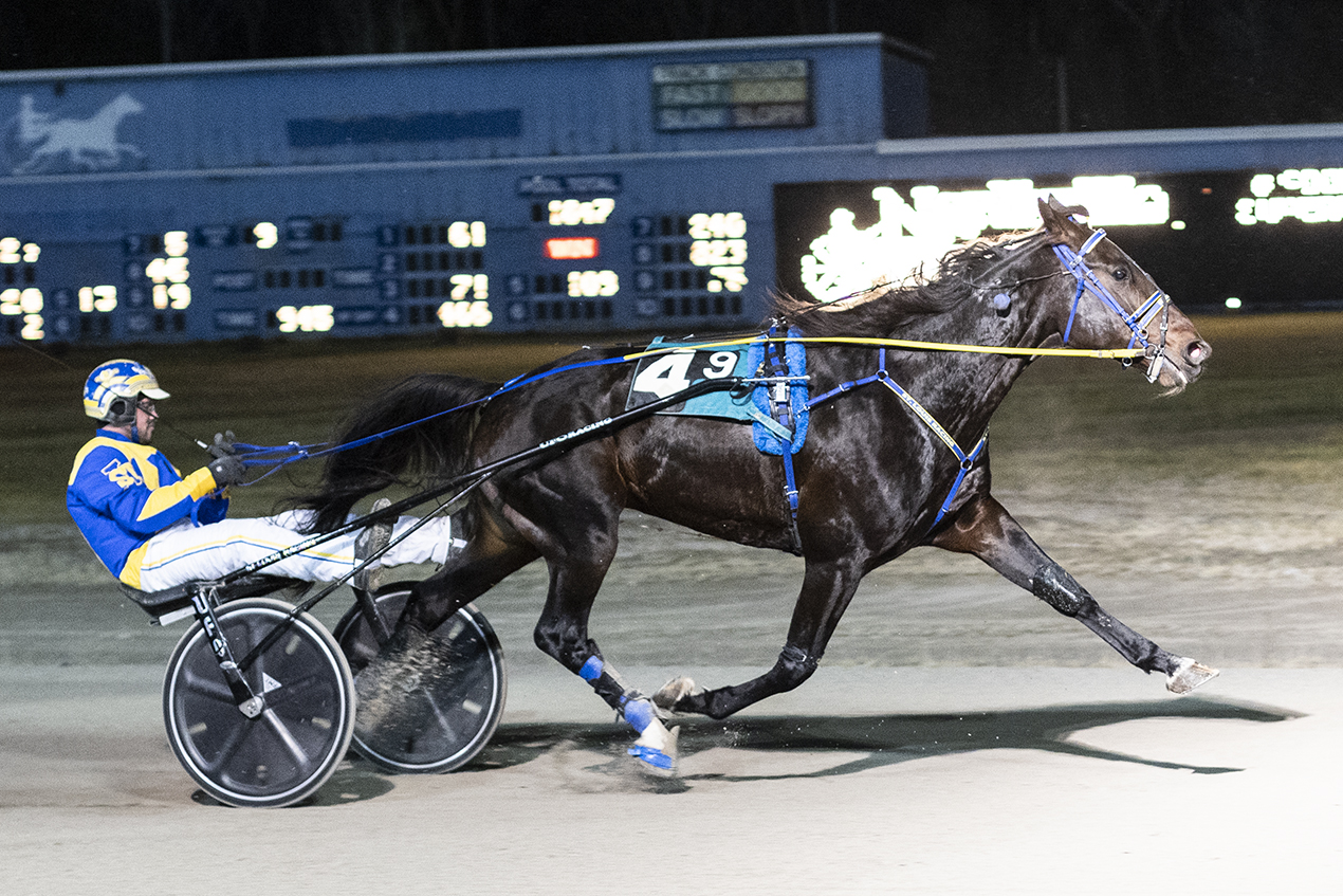 MHHA Aged Pacer and Trotter Awards released – U.S. Trotting News