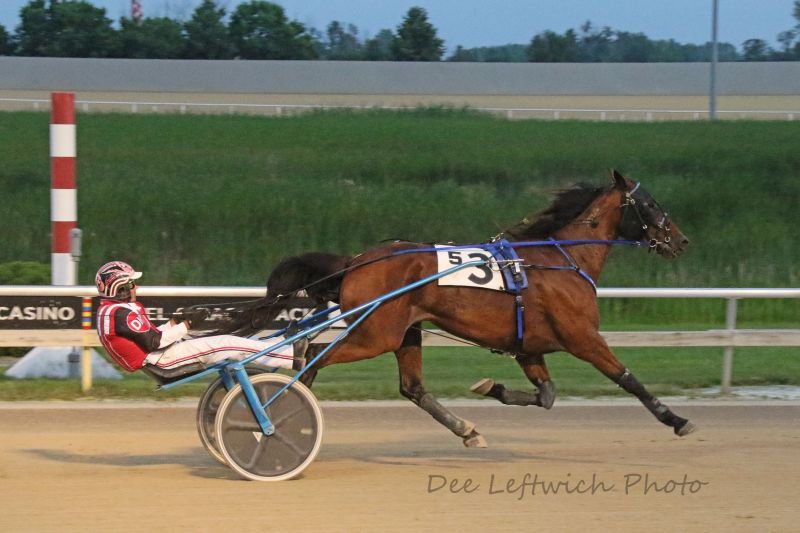 2022 Minnesota aged divisional award winners announced – U.S. Trotting News