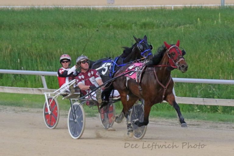 2022 Minnesota aged divisional award winners announced – U.S. Trotting News