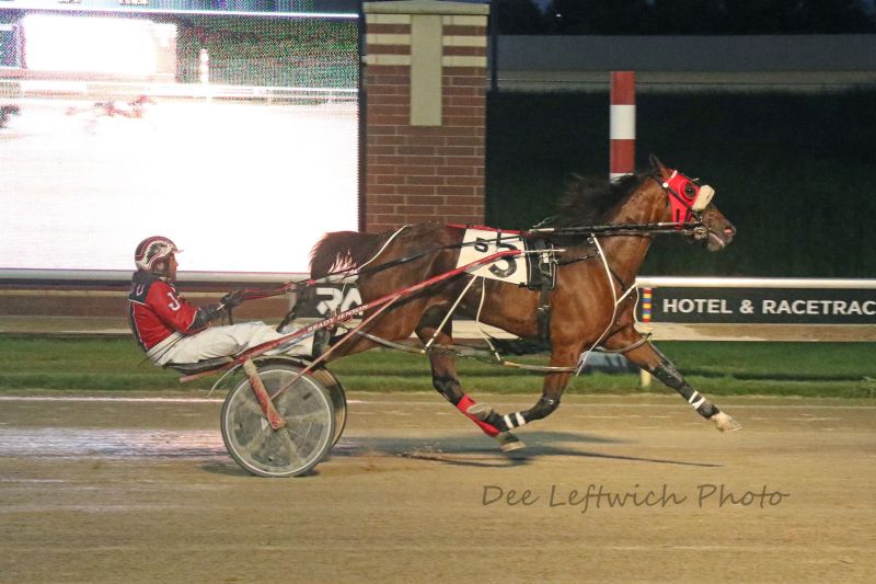 2022 Minnesota aged divisional award winners announced – U.S. Trotting News