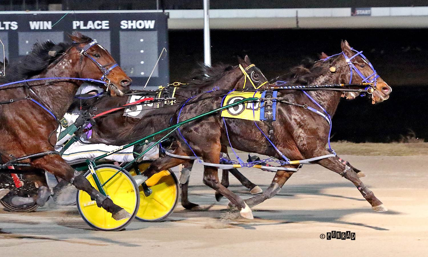 Little Rocket Man impressive in Miami Valley debut; 13th race declared ...