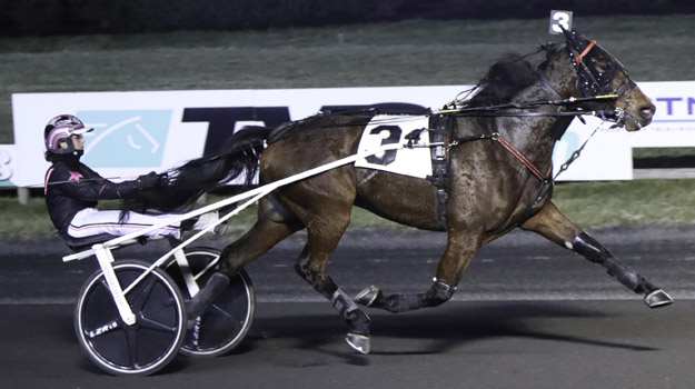 Cushing, Tritton win ladies’ races at Big M – U.S. Trotting News
