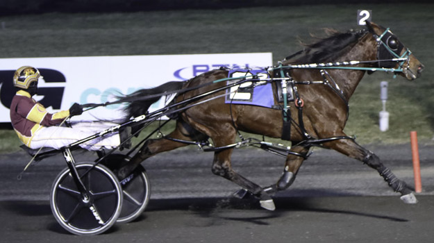 Cushing, Tritton win ladies’ races at Big M – U.S. Trotting News