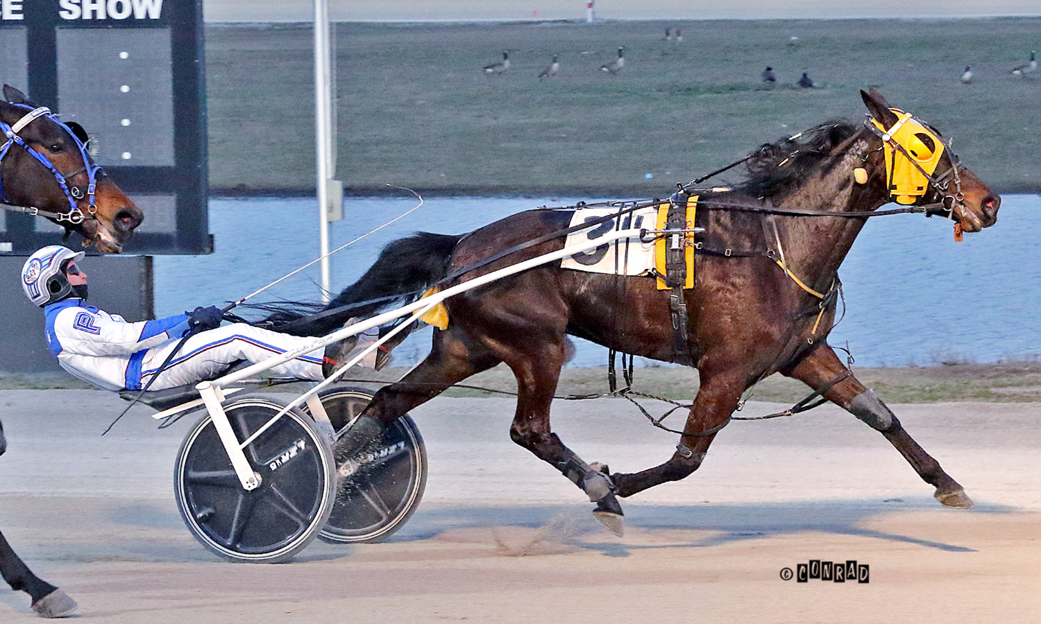 Smoking Jet makes triumphant return at Miami Valley – U.S. Trotting News