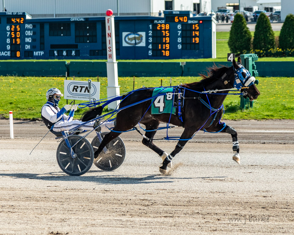 Imprincessgemma A is queen at Buffalo Raceway – U.S. Trotting News