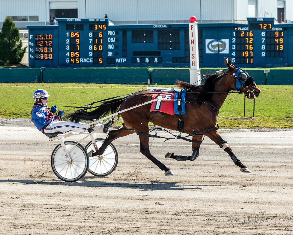 Free Flyin Ticket ‘flies’ to Buffalo Win – U.S. Trotting News