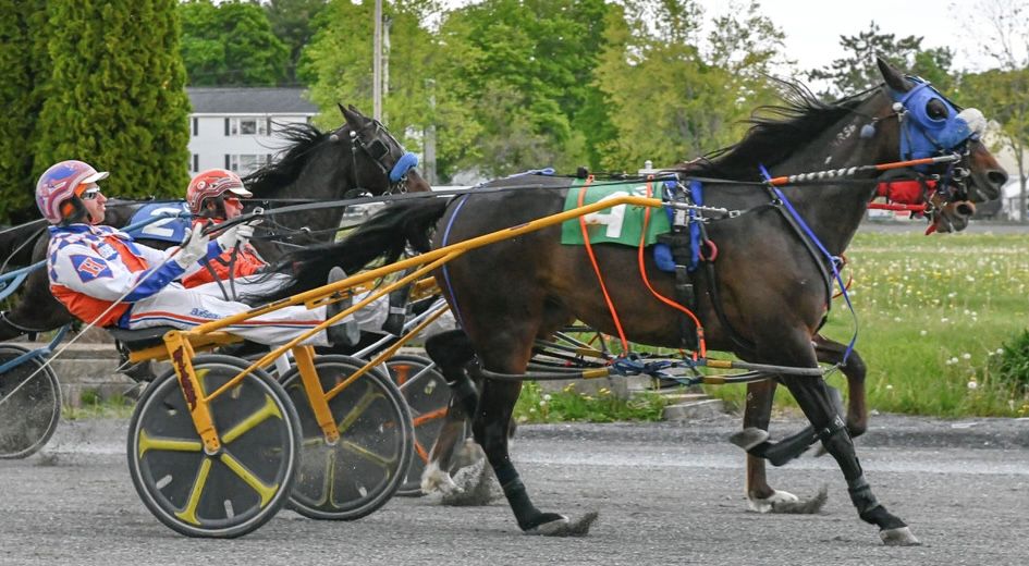 Aaron Hall scores 500th career win at Bangor Raceway – U.S. Trotting News