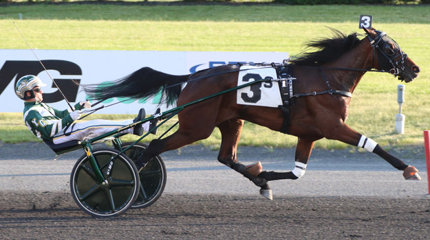 Another Like Me thinking Hambo Oaks at Big M – U.S. Trotting News