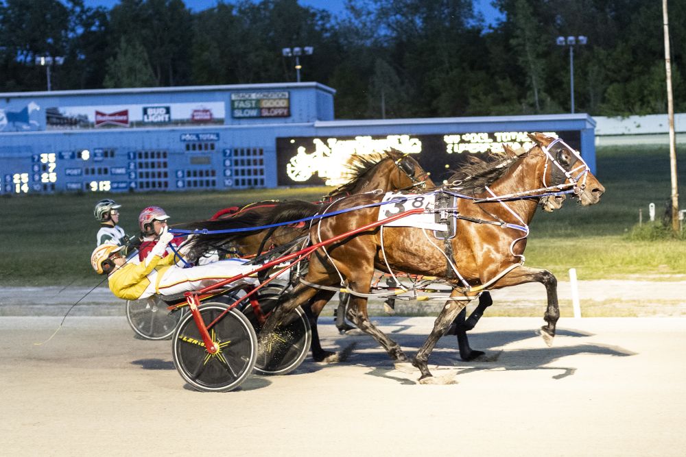 Coqui Coqui ‘leaps’ to victory in Northville Open – U.S. Trotting News