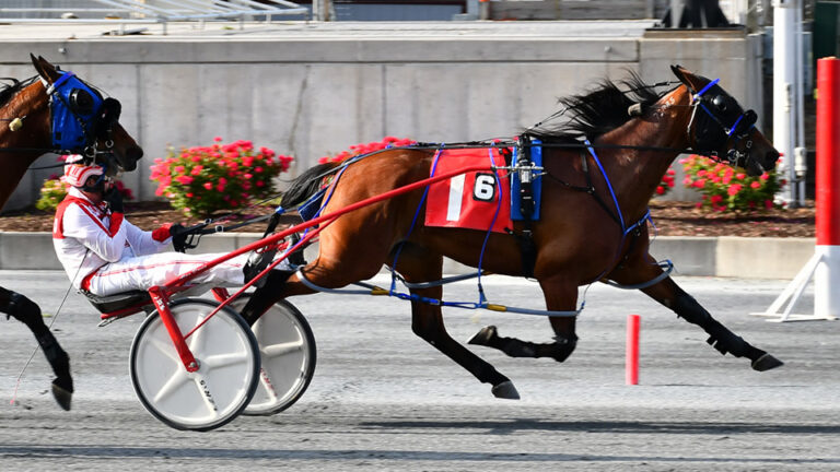 Divine Deo, Davis dominate Tuesday at Harrington – U.S. Trotting News
