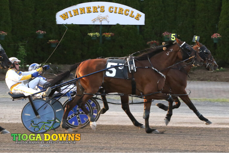 Miley Rose scores in Tioga feature – U.S. Trotting News