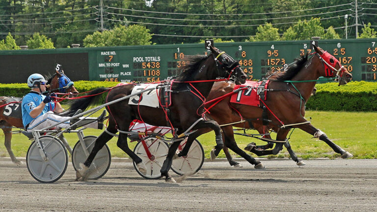 Stillwell strong in AHDC Pace – U.S. Trotting News