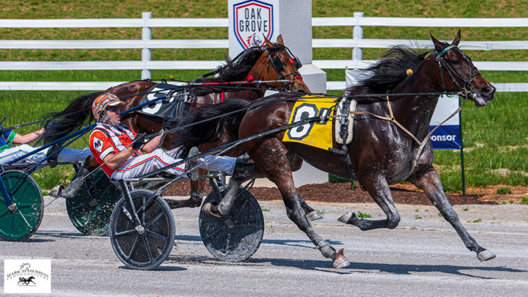 Yanaba trots to track record in Kentucky Sires Stakes – U.S. Trotting News
