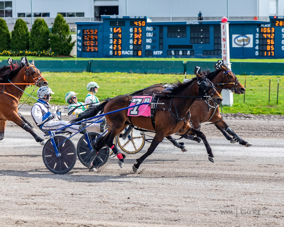 Castyourcrown the strongest at Buffalo Raceway – U.S. Trotting News