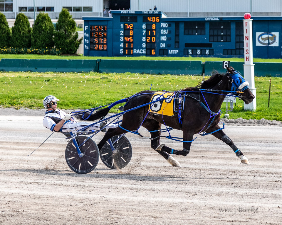 Long shots take features at Buffalo Raceway – U.S. Trotting News