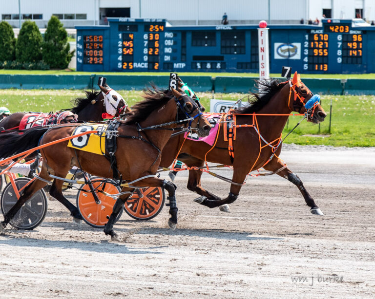 Filly Speaks the ‘Talk’ at Buffalo Raceway – U.S. Trotting News