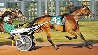 Bond retired, sold to Spring Station Bloodstock – U.S. Trotting News