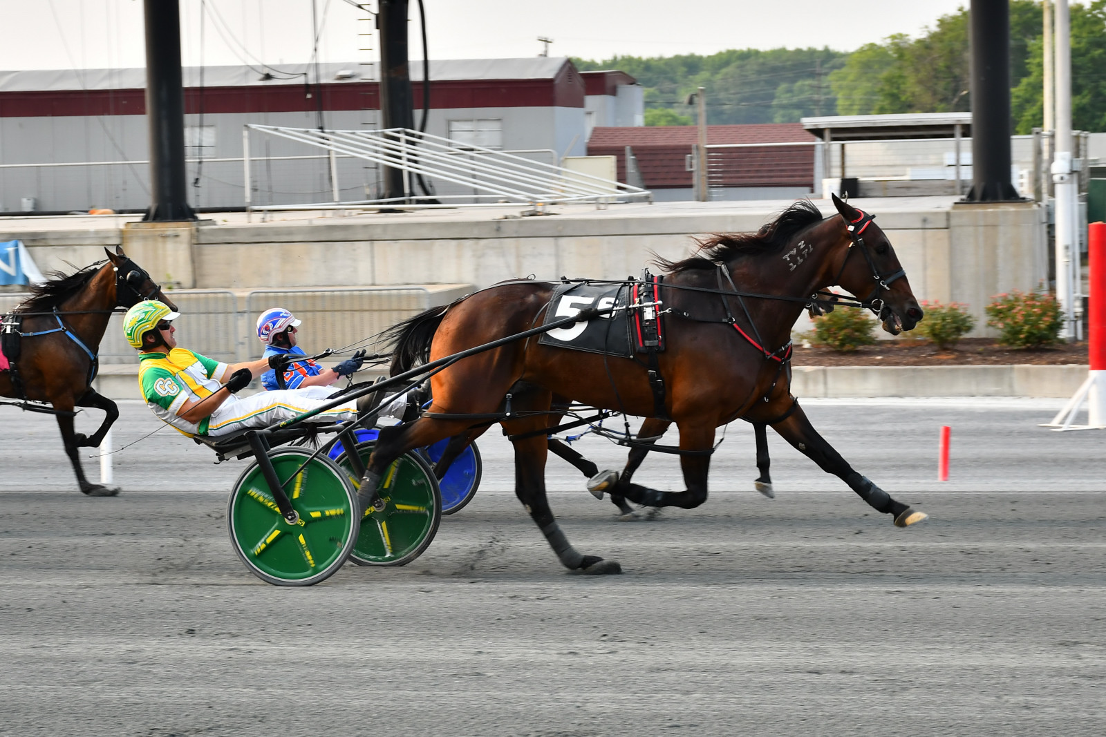 Majorca N wins her second straight at Harrington – U.S. Trotting News