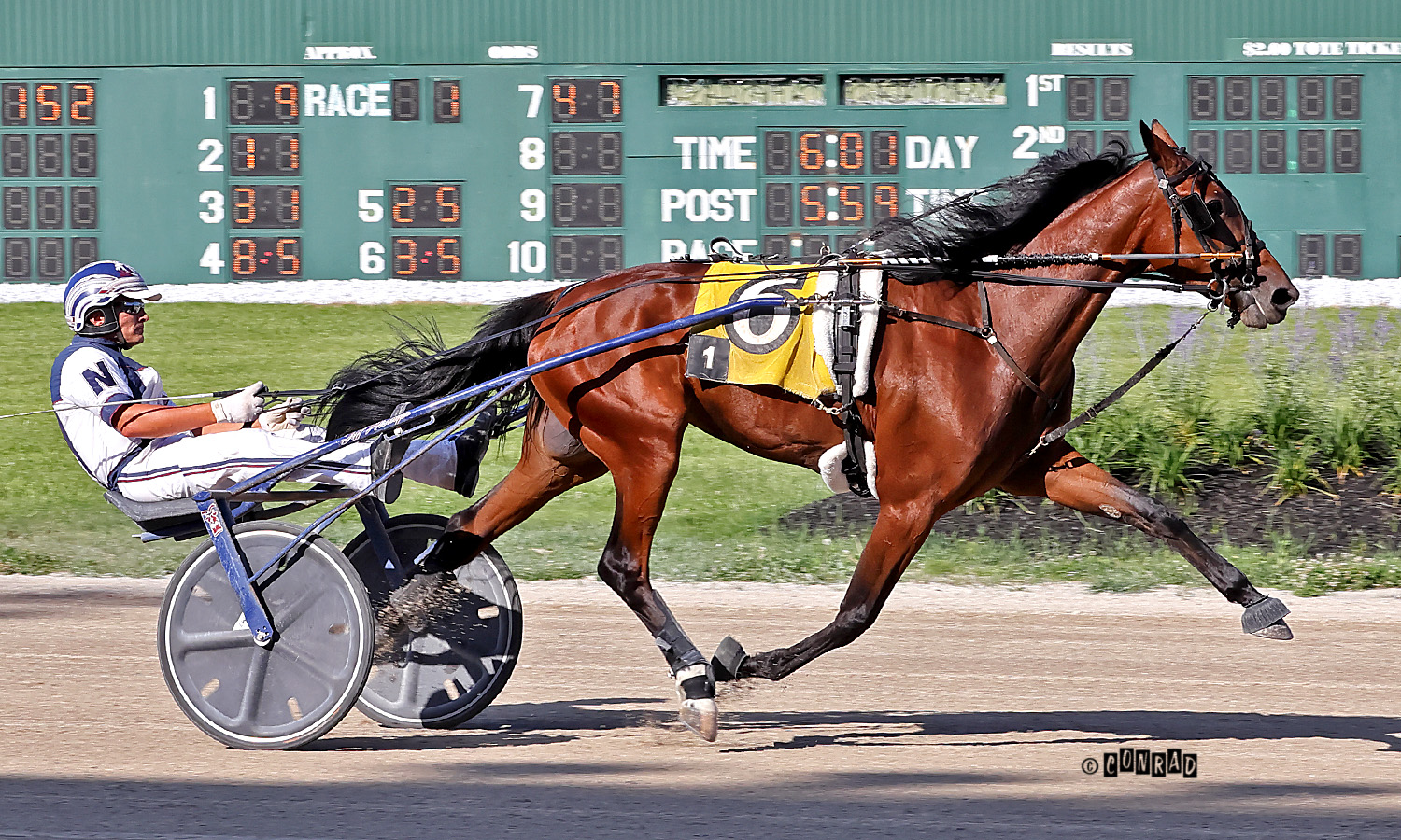Doc’s Boo Boo wins again in Buckeye Stallion Series – U.S. Trotting News