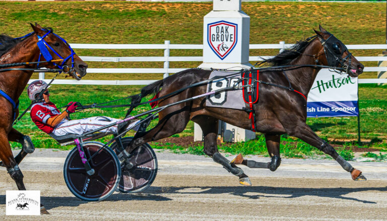 Oak Grove Grand Slam for Anette Lorentzon – U.S. Trotting News