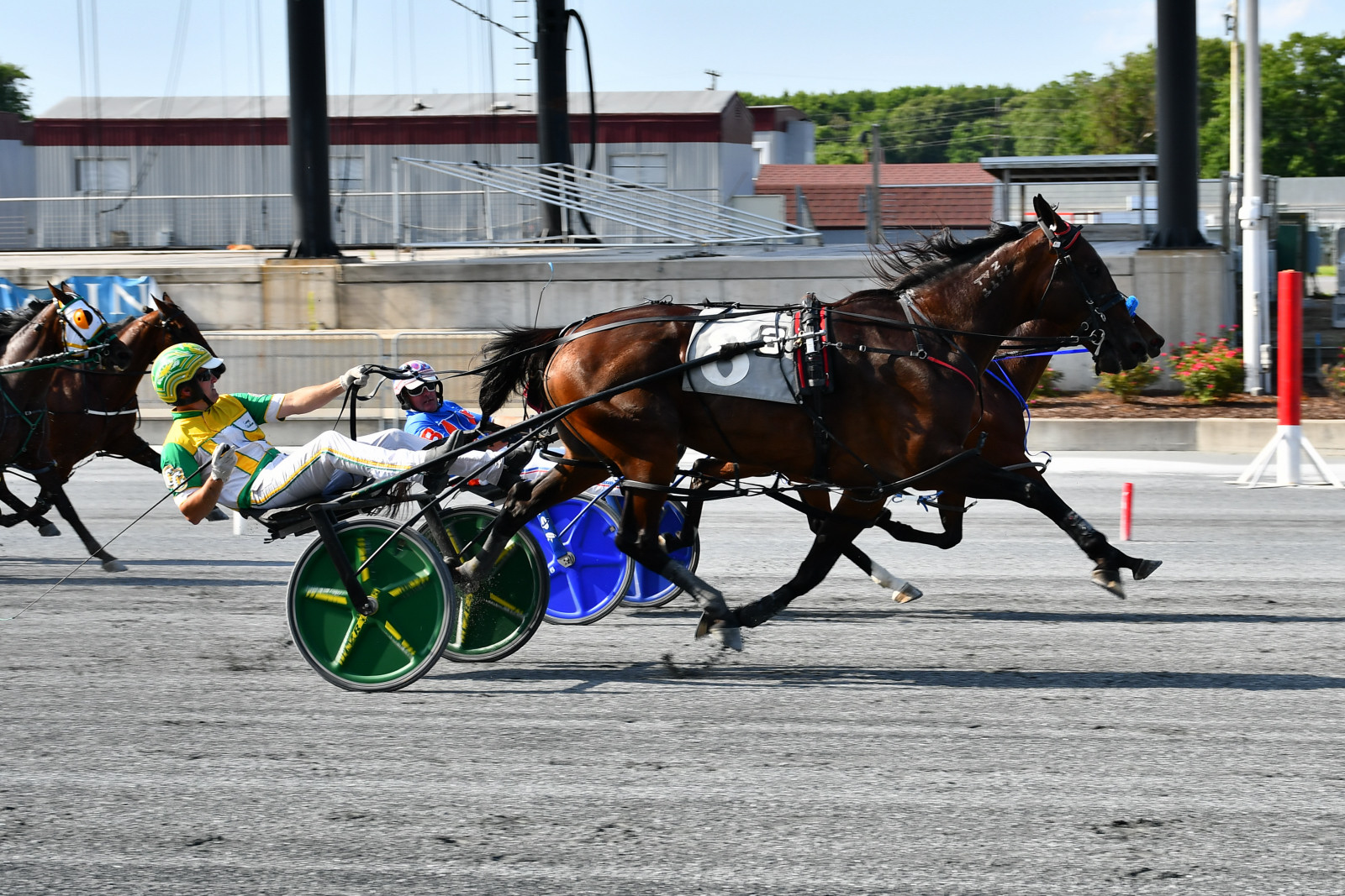 Majorca N, Itsrockandroll A Win Harrington Features – U.S. Trotting News