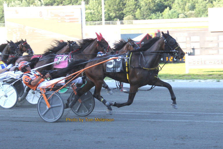 Bill Bauer wins trotting feature at Plainridge Park – U.S. Trotting News
