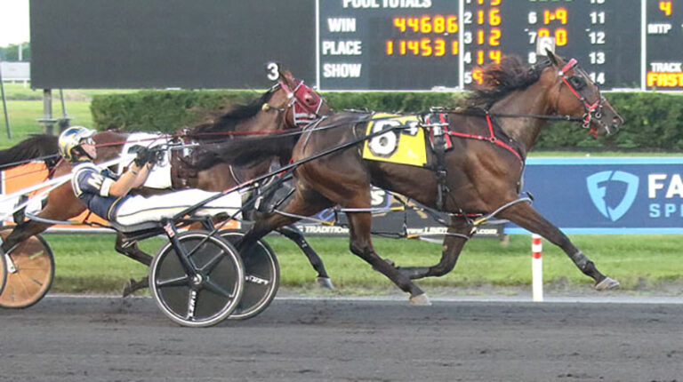 ‘Sylvia’ super in Geers at Big M – U.S. Trotting News