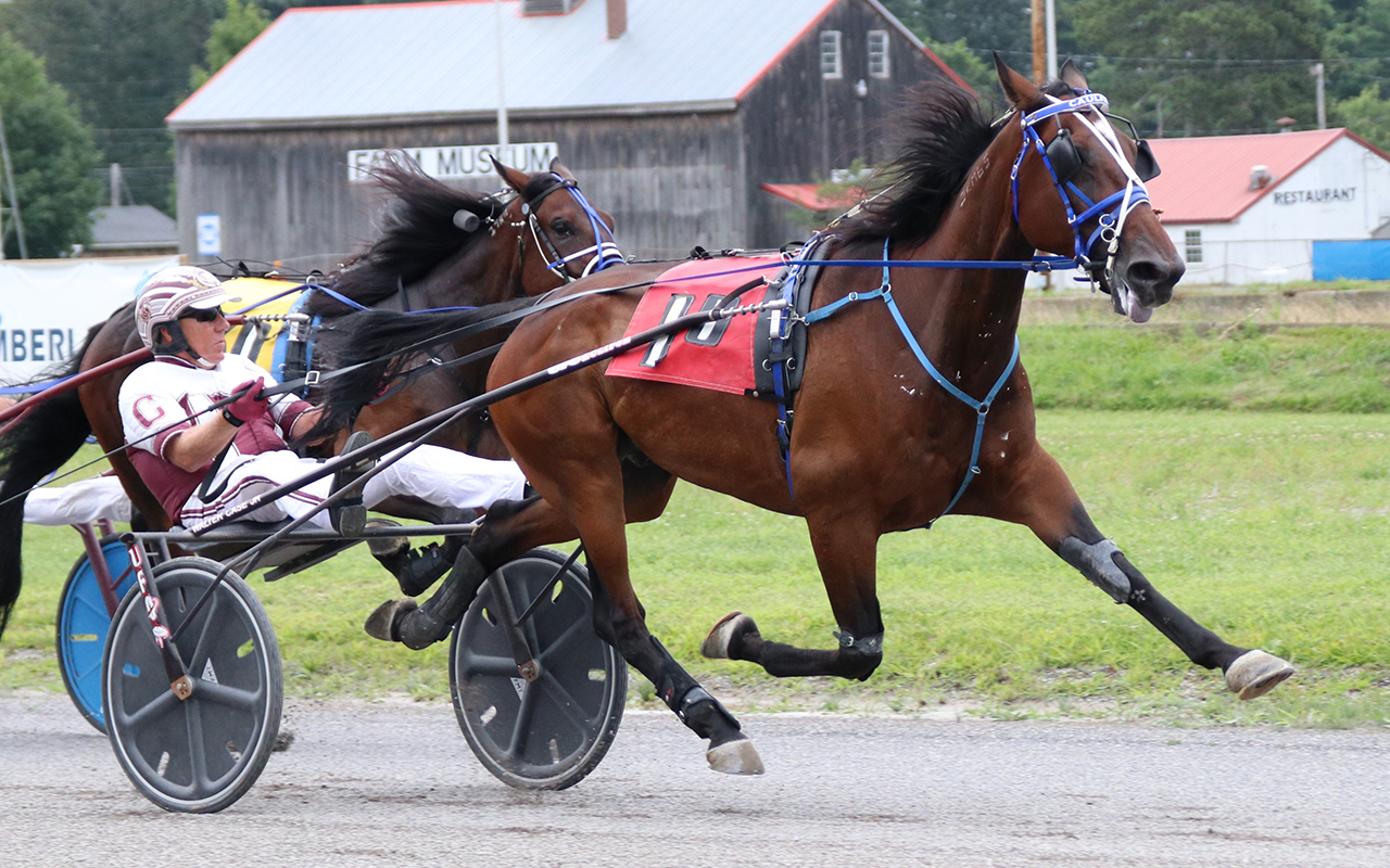Drew Campbell wins four on Friday at Cumberland – U.S. Trotting News