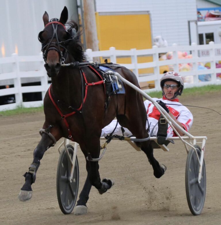 A homecoming for Chris Long at Skowhegan State Fair – U.S. Trotting News