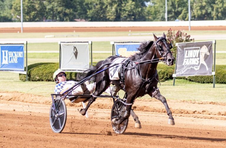 Confederate smashes world record; Special Way returns in style at Red ...