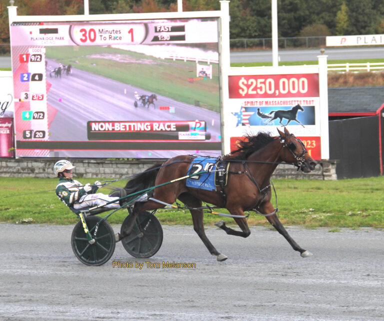 Every Man’s Dream, Keep Asking stay perfect in Mass Stakes at ...