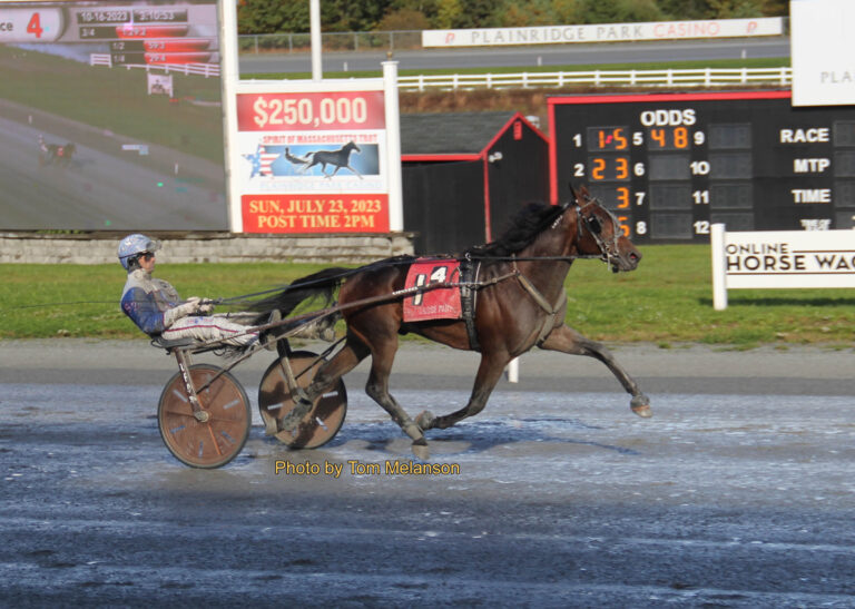 Every Man’s Dream, Keep Asking stay perfect in Mass Stakes at ...